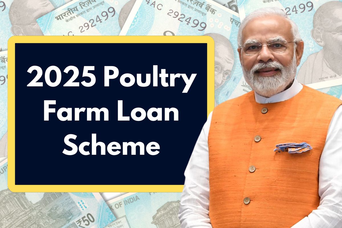 2025 Poultry Farm Loan Scheme - Who is Eligible? What are the Loan ...
