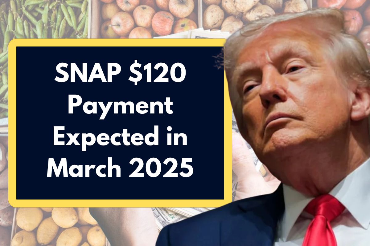 SNAP $120 Payment Expected in March 2025 – How Can You Eligible to ...